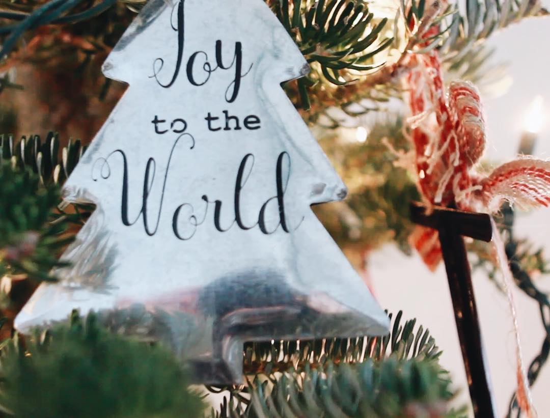Winter Solstice, Christmas, and Joy | A Reflection on Light Shining in ...