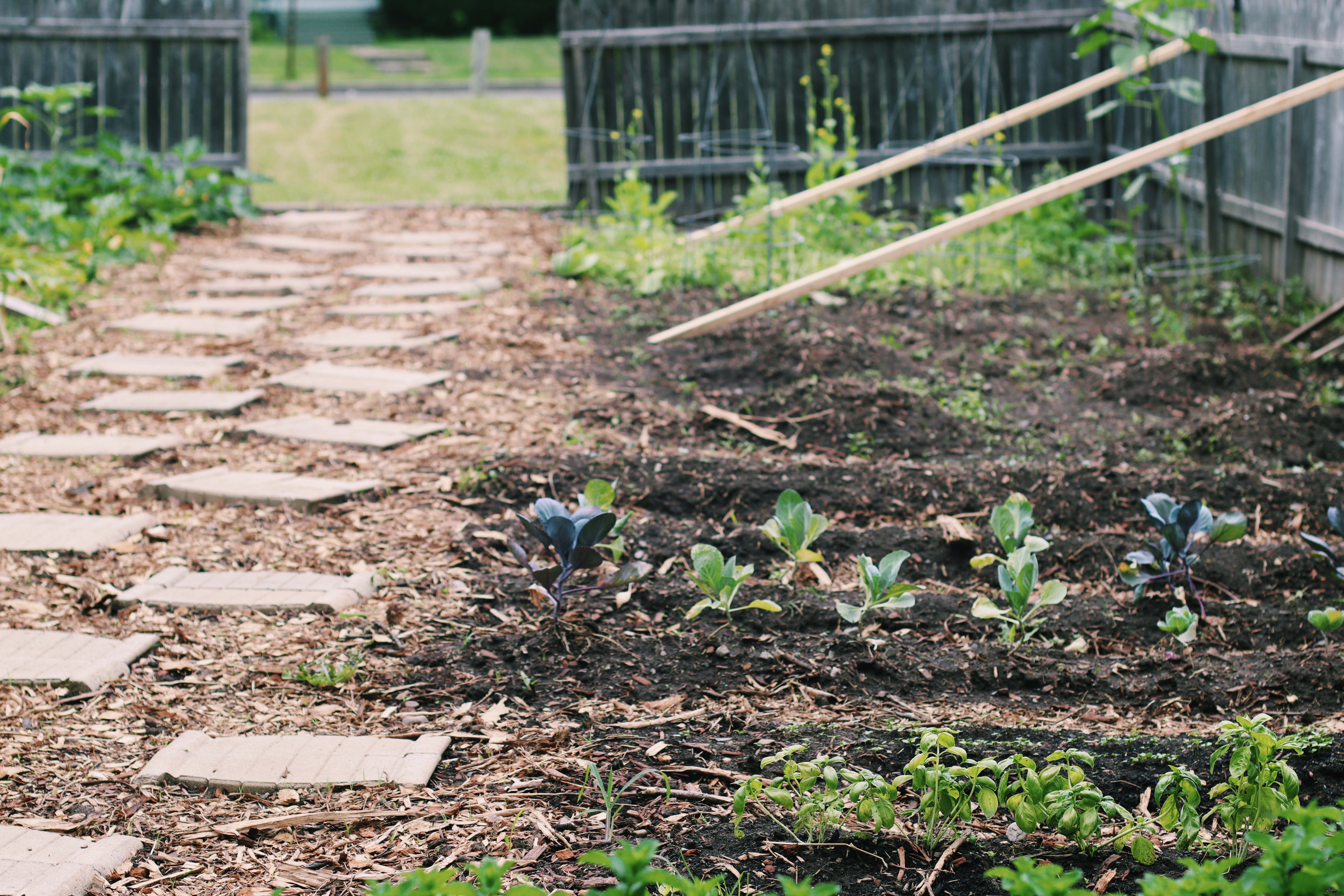 A Community Garden Transformation You Won’t Believe – SUNSHINE FARM
