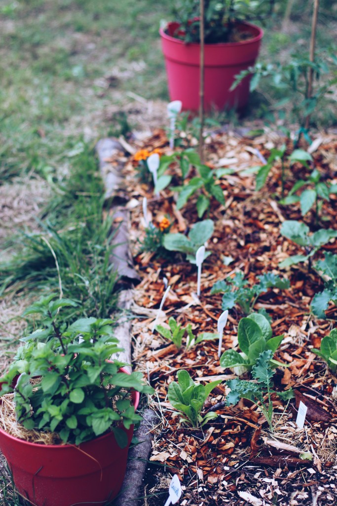 A Complete Guide to the Square Foot Gardening Method – SUNSHINE FARM