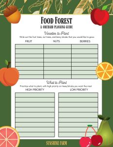Food Forest & Orchard Planting Guide – SUNSHINE FARM