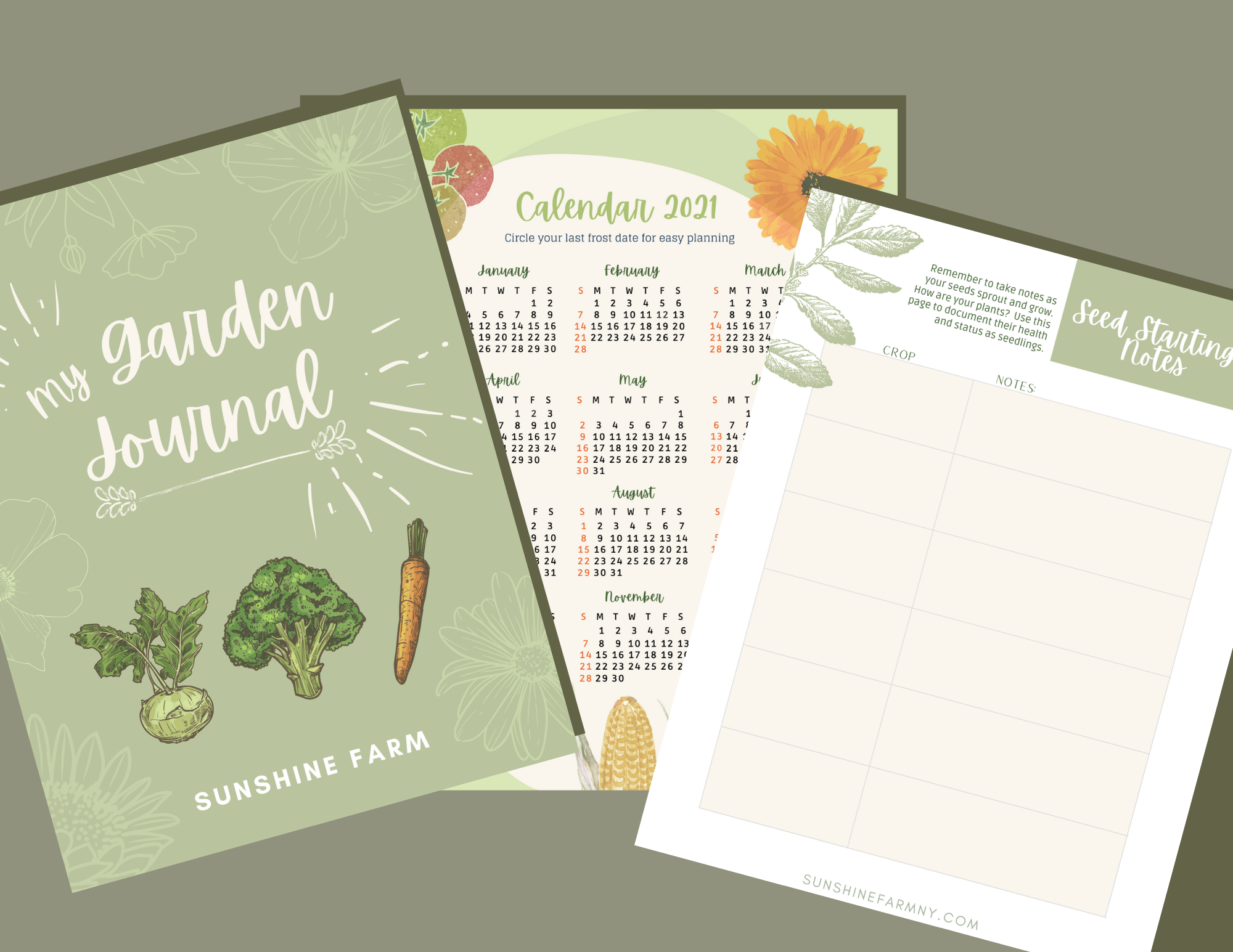 SUNSHINE FARM – Millennial homesteaders pursuing a compassionate ...